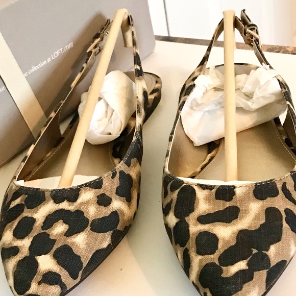 LOFT | Shoes | Nib Loft Pointed Toe Slingback Sandals In Leopard Print ...